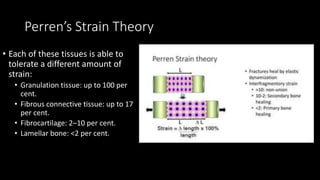 Fracture Healing.pptx