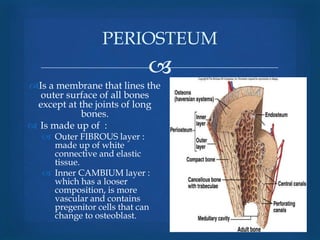 Fracture Healing.pptx