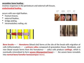 fracture healing..pptx---https://m.youtube.com/@jalalmohiuddin9497 | PPT