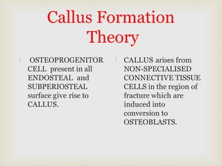 fracture healing.pdf traumatology mbbs md | PDF