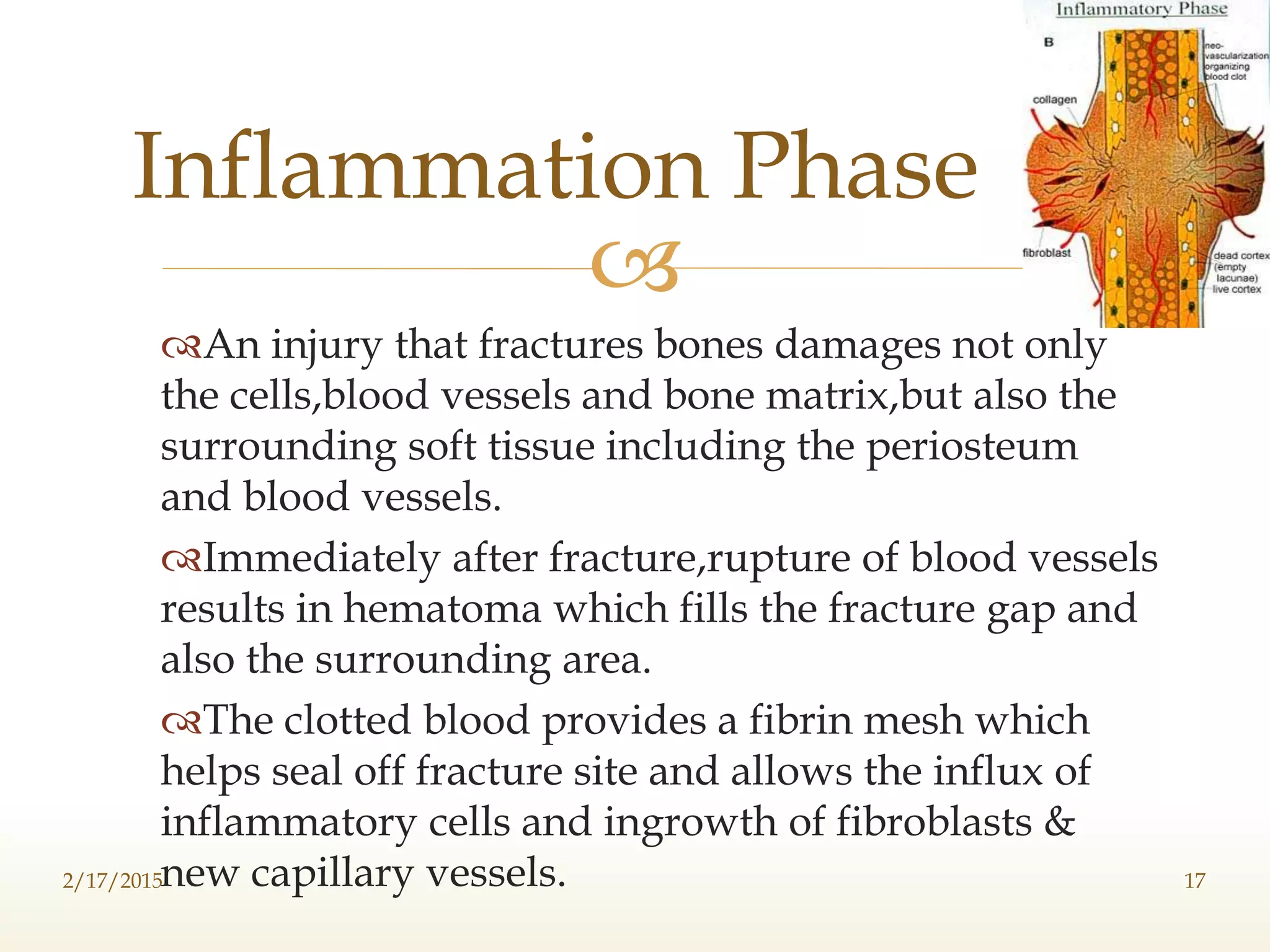 Fracture healing by pawan shaw | PPTX