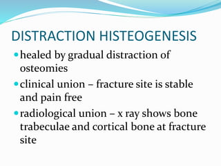 Fracture healing srinath | PPT