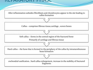 Fracture healing srinath | PPT