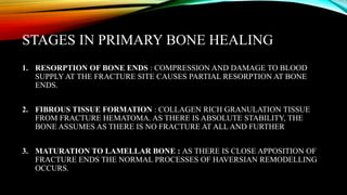 Fracture healing and growth factors | PPT