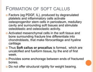 Fracture Healing bsc.pptx