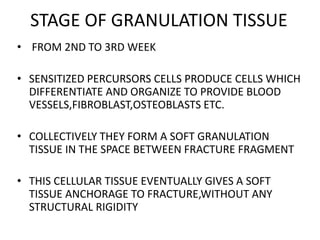 Fracture healing by dr.v.r.vignesh | PPT