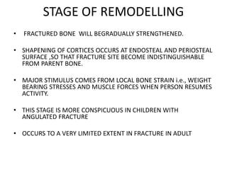 Fracture healing by dr.v.r.vignesh | PPT