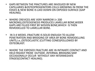 Fracture healing by dr.v.r.vignesh | PPT
