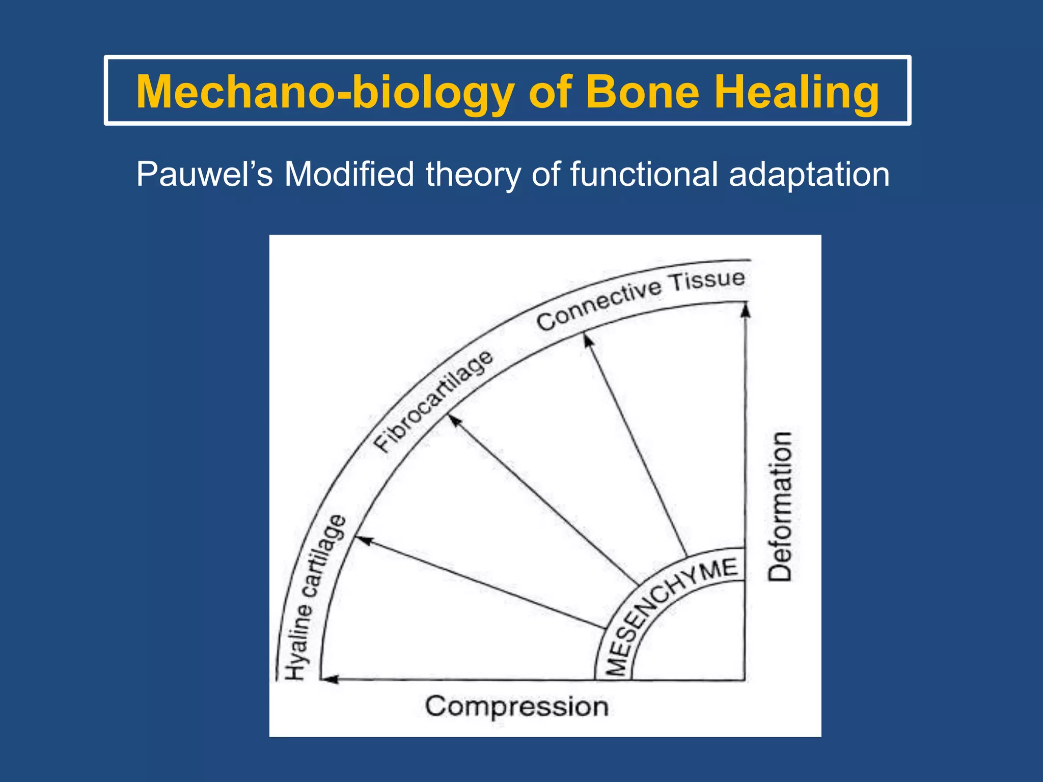 Fracture healing latest | PPTX