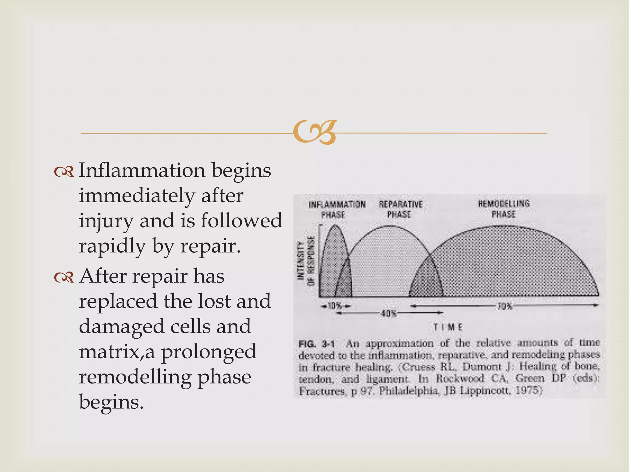 Fracture healing,stages& Factors affecting fracture healing | PPTX