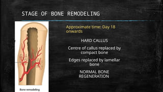 Fracture healing stages and complications | PPTX