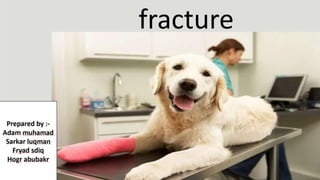 fracture in animal.pptx