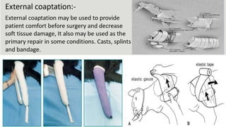 fracture in animal.pptx