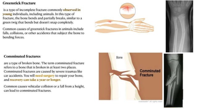fracture in animal.pptx