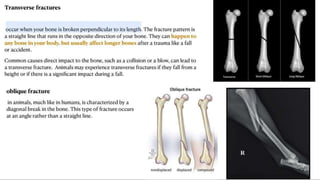 fracture in animal.pptx