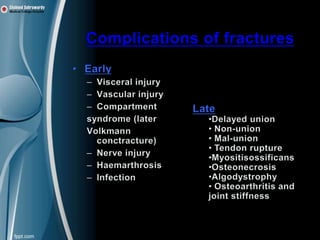 Fracture management -Basic | PPTX