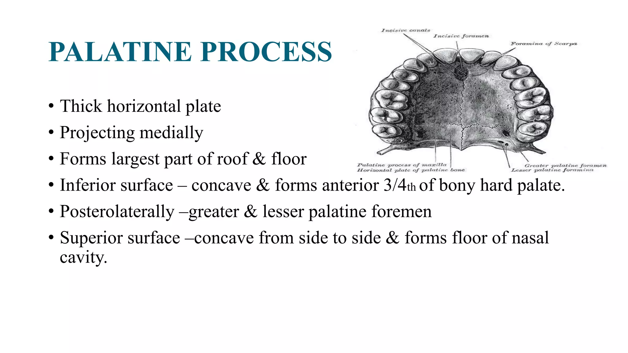 Fracture maxilla | PPTX