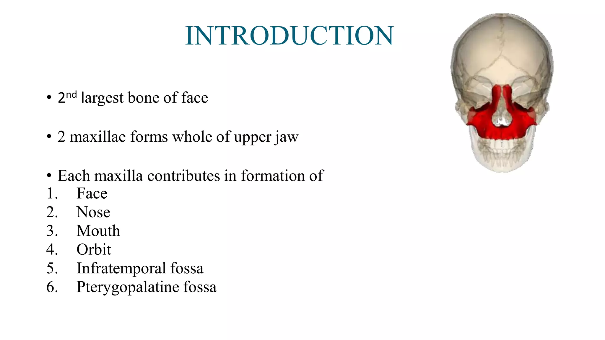 Fracture maxilla | PPTX