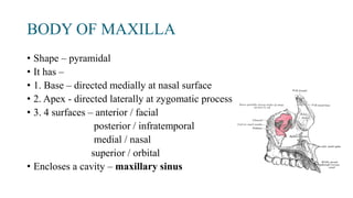 Types Of Maxillary Fractures