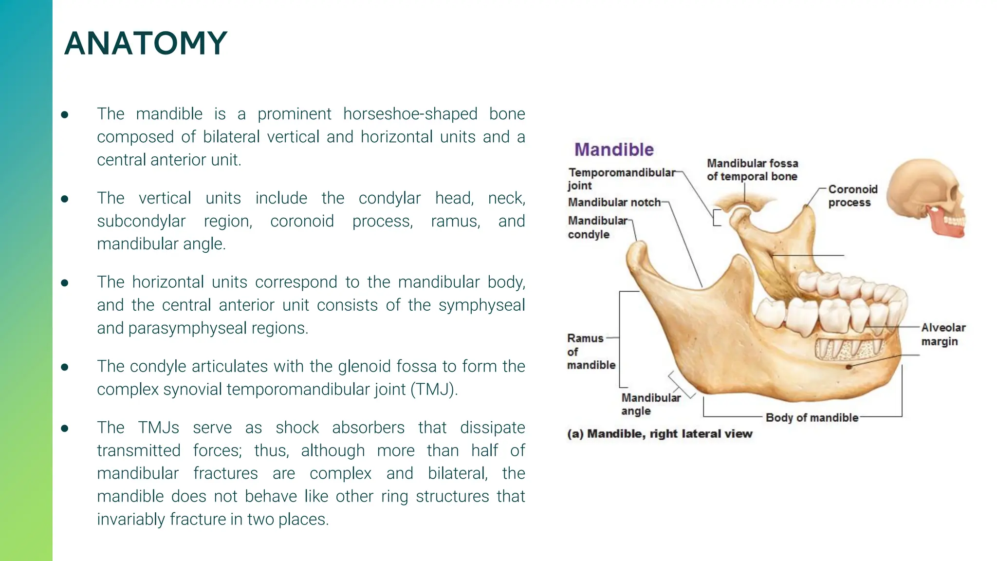 Fractures of The Body of The Mandible In Maxillofacial Surgery | PDF