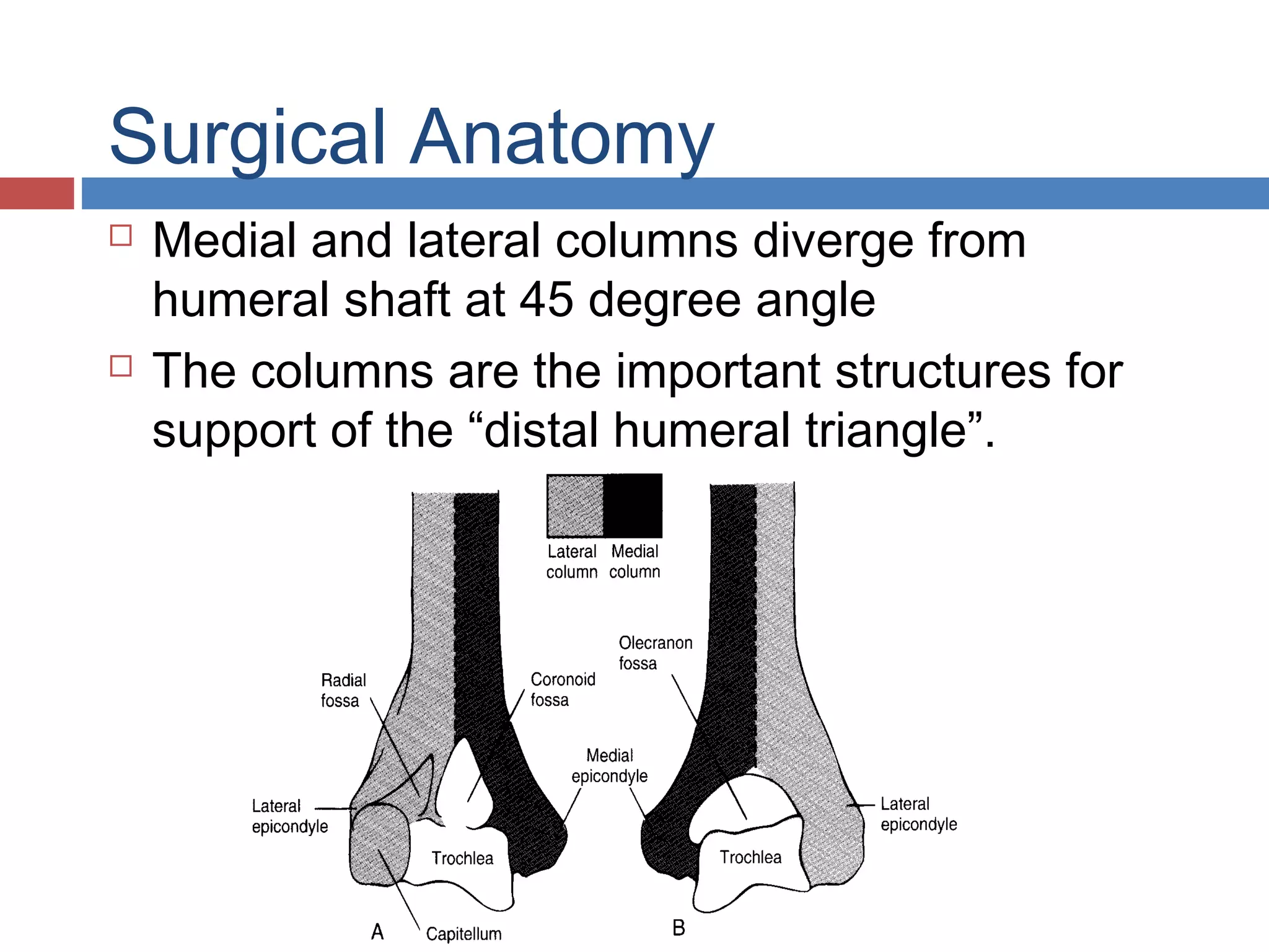 Fracture of Distal End Humerus. | PPT