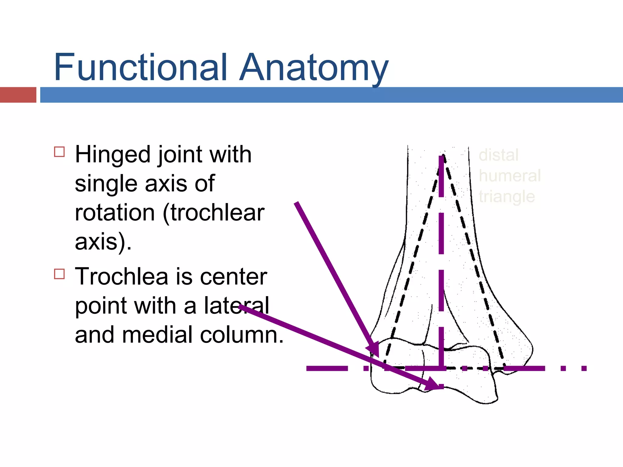 Fracture of Distal End Humerus. | PPT