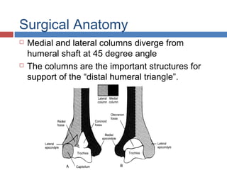 Fracture of Distal End Humerus. | PPT
