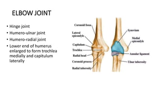 FRACTURE OF HUMERUS SHAFT AND INTERCONDYLAR FRACTURE.pdf