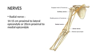 fracture of humerus shaft and intercondylar fracture.pptx