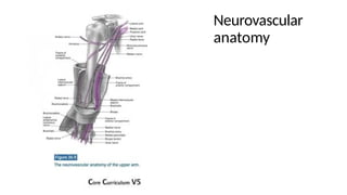fracture of humerus shaft and intercondylar fracture.pptx