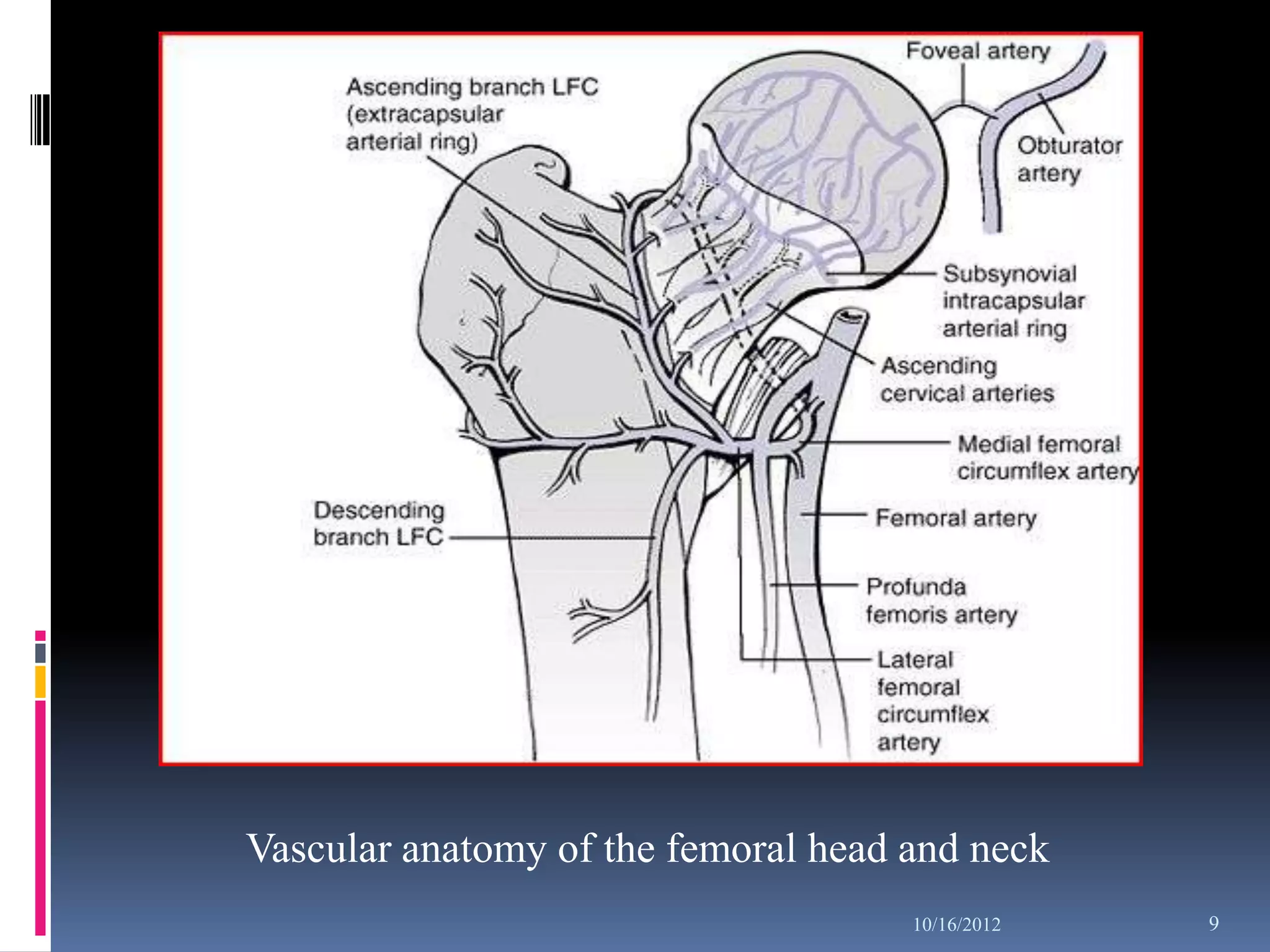 Fracture neck of femur | PPTX