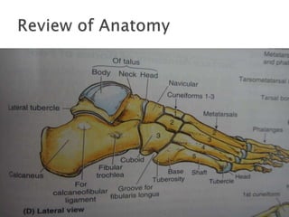 Fracture of talus ppt | PPTX