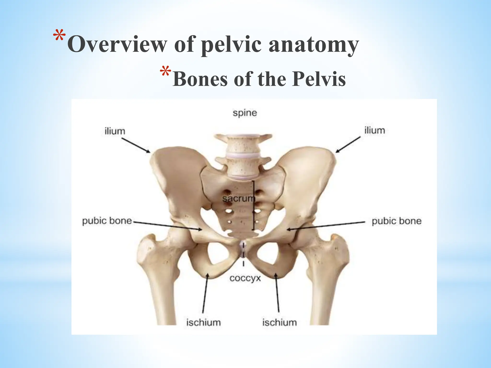 Fractures of the Pelvis bone and its physiotherapy rehabilitation .pptx