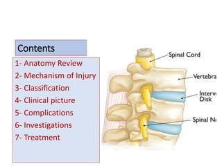 Fracture of the Spine as one of the major orthopedic trauma .pdf