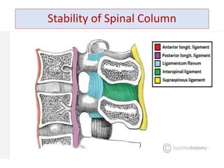 Fracture of the Spine as one of the major orthopedic trauma .pdf