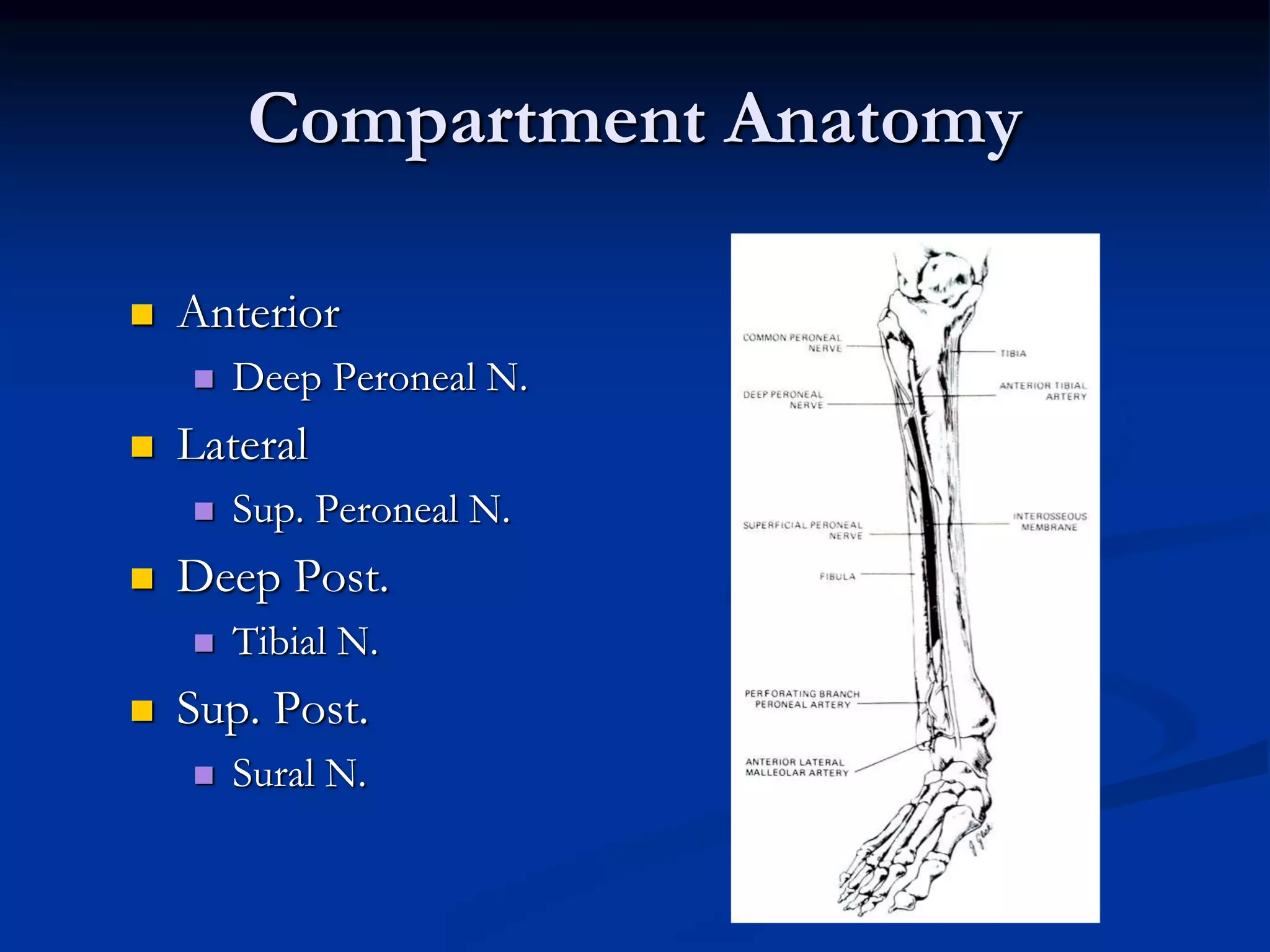 Fracture of Tibia,ankle and foot.ppt