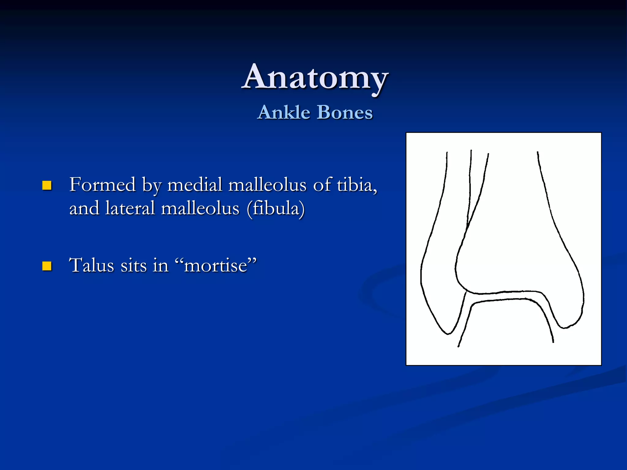 Fracture of Tibia,ankle and foot.ppt