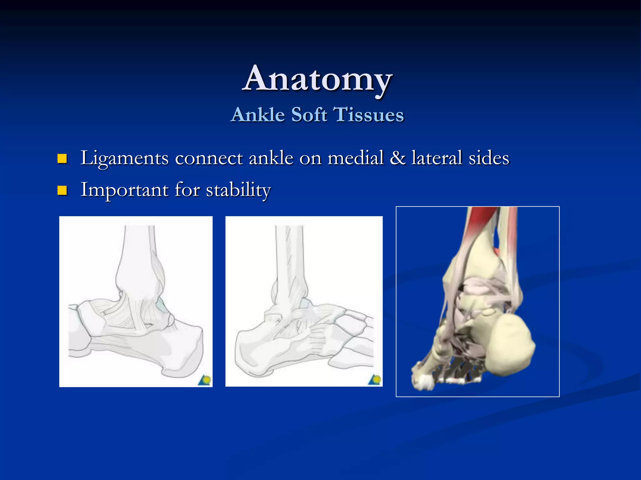 Fracture of Tibia,ankle and foot.ppt