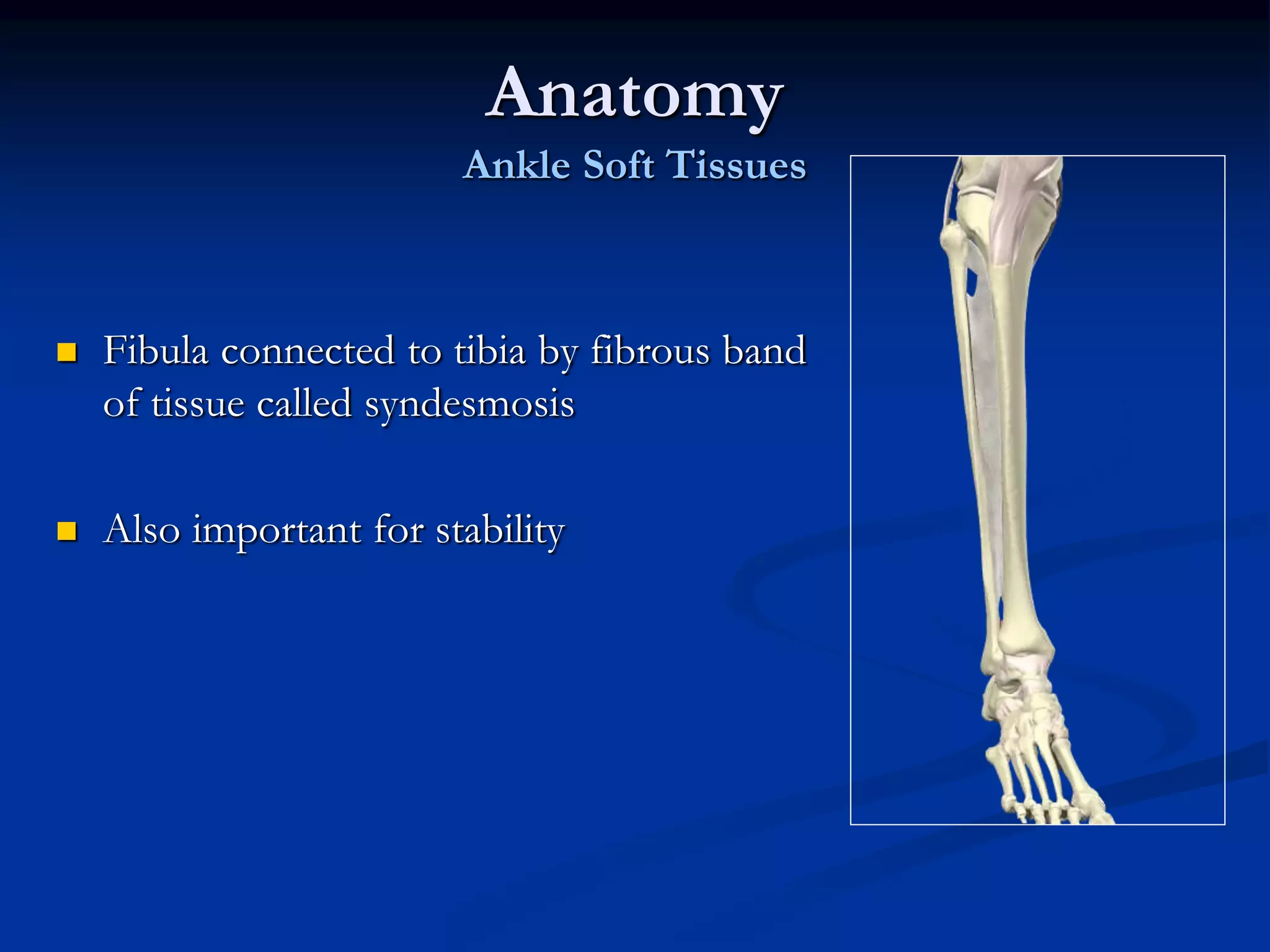 Fracture of Tibia,ankle and foot.ppt