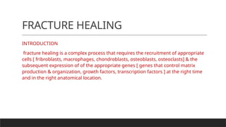 Basic anatomy of Bone , Fracture and Healing | PPTX