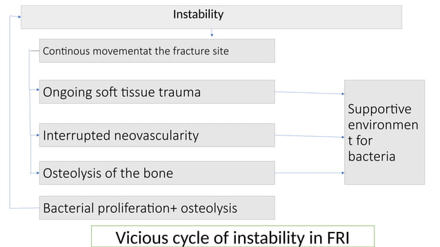 Fracture related infection dr Haki Selaj.pptx