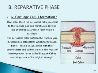 Fractures...types and healing of fractures | PPTX