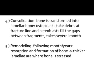 Classification and types of fractures, principles of trauma surgery.pptx
