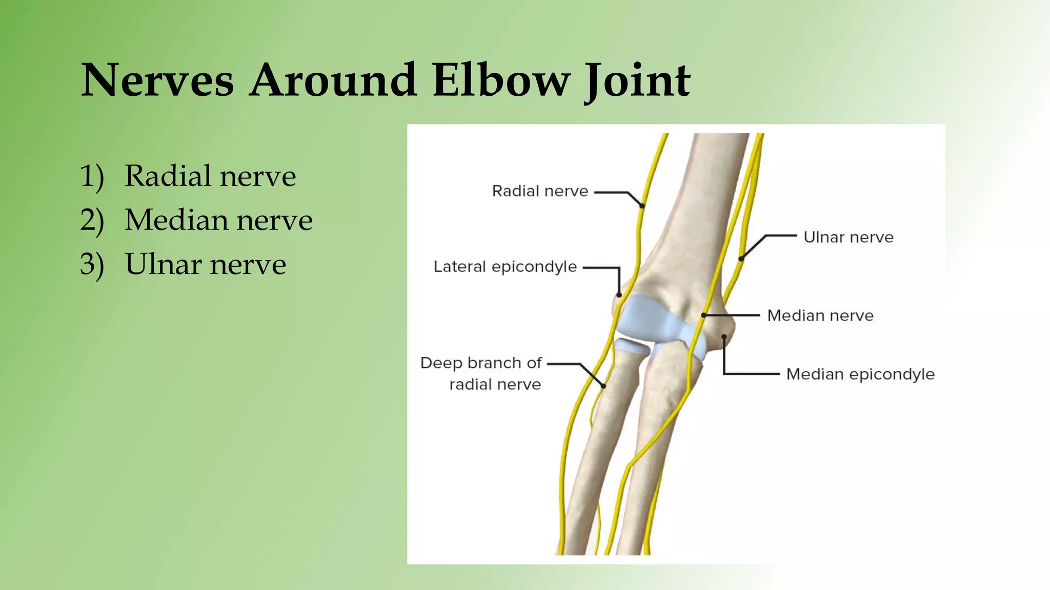 fractures around Elbow.pdf