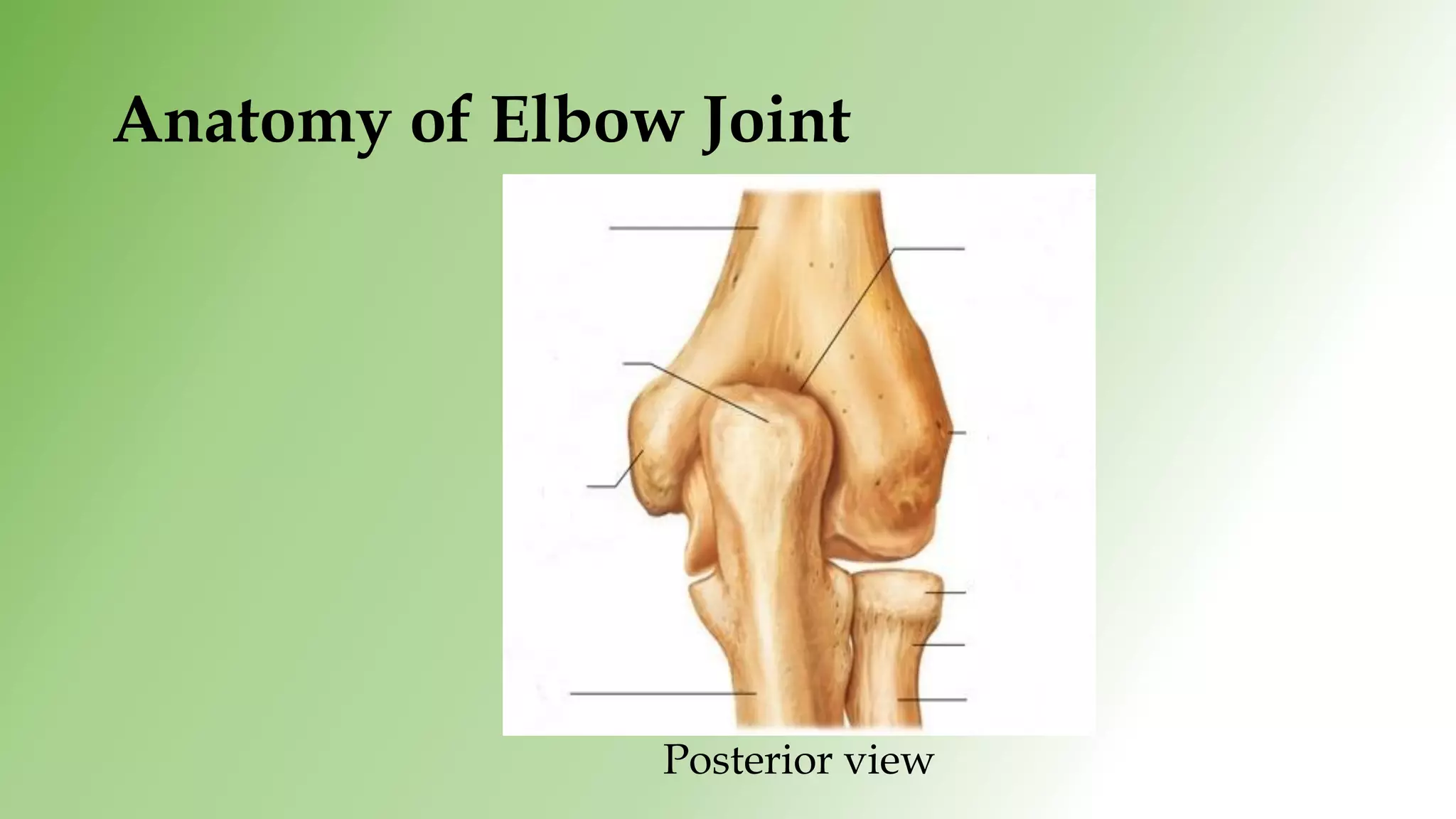Fractures Around Elbowpdf