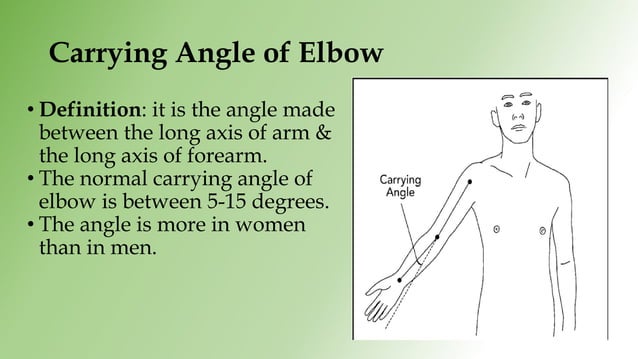 Fractures Around Elbowpdf