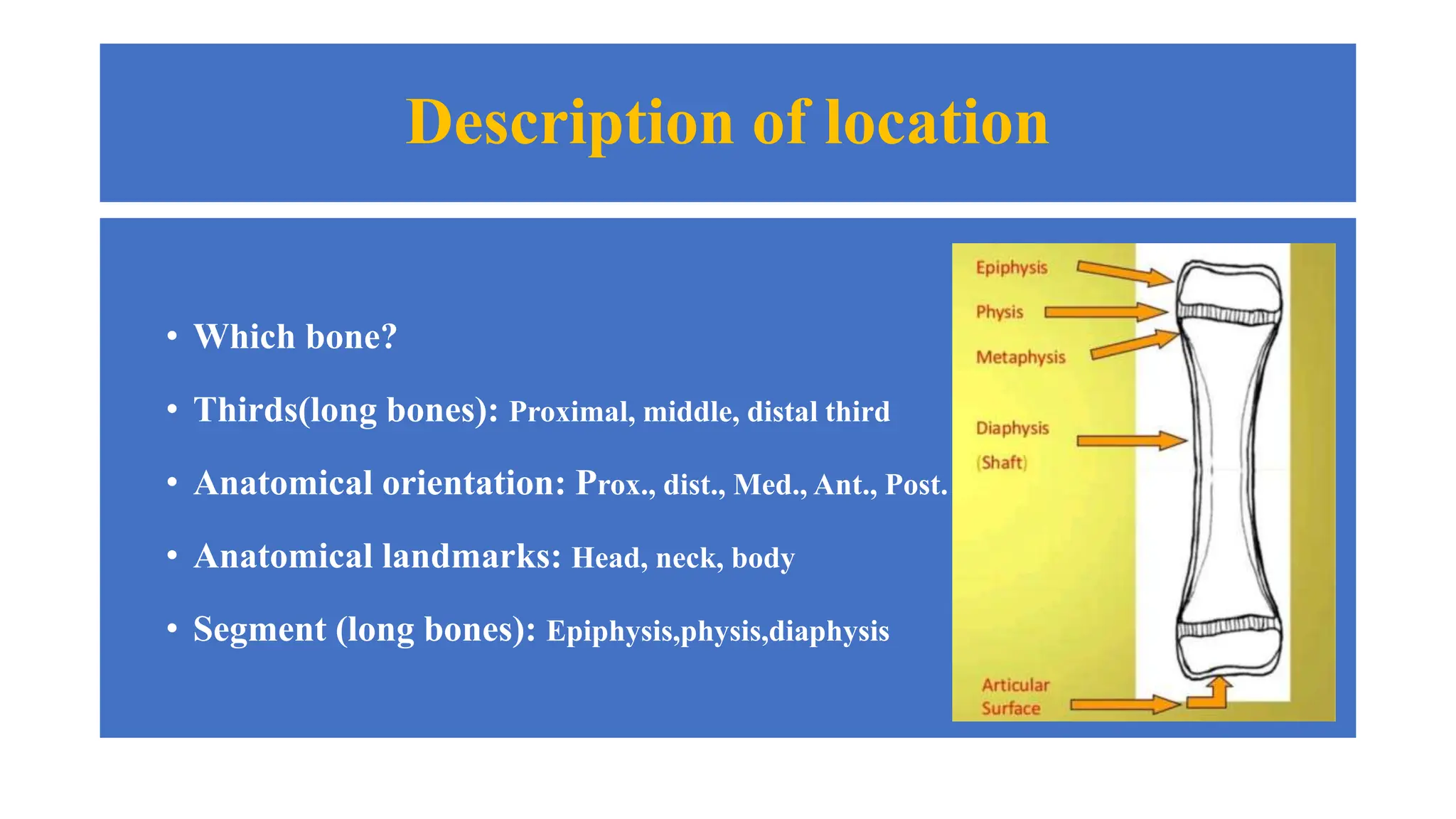 FRACTURES & DISLOCATIONS general overview.pptx