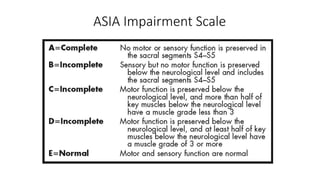 fractures & dislocation spine.pptx