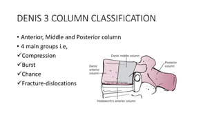 fractures & dislocation spine.pptx