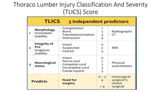 fractures & dislocation spine.pptx
